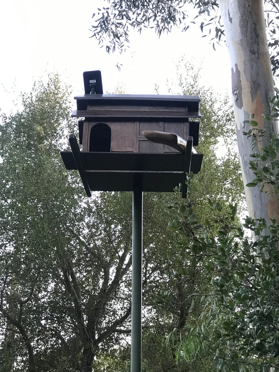 How to Attract Barn Owls – Ark Owl Boxes